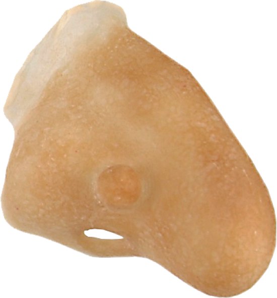 Latex prothese - Neus - Heks - nr.117 | bol