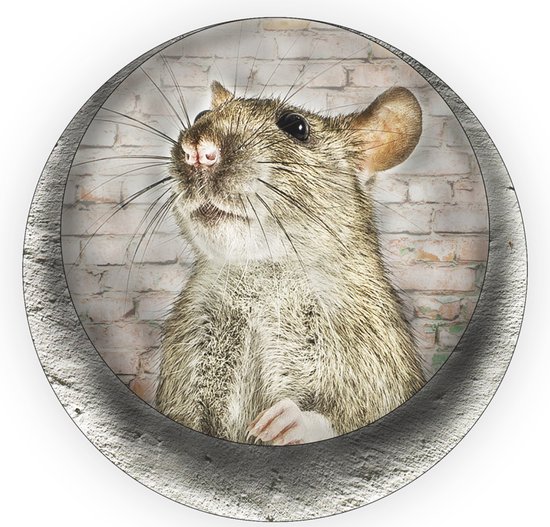 3D grote ronde sticker muis | bol