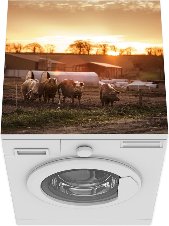 Protège machine à laver - Tapis de machine à laver - Ferme - Soleil ...