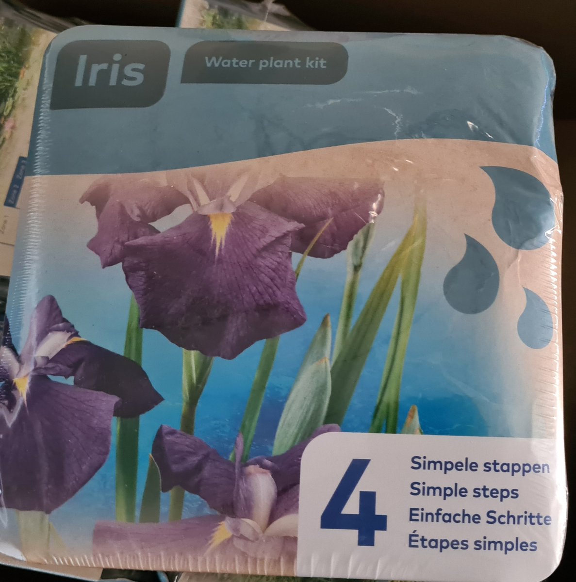 Moerasplanten Kopen Moerings Kit De 3 Plantes Aquatiques Purifiantes De ...