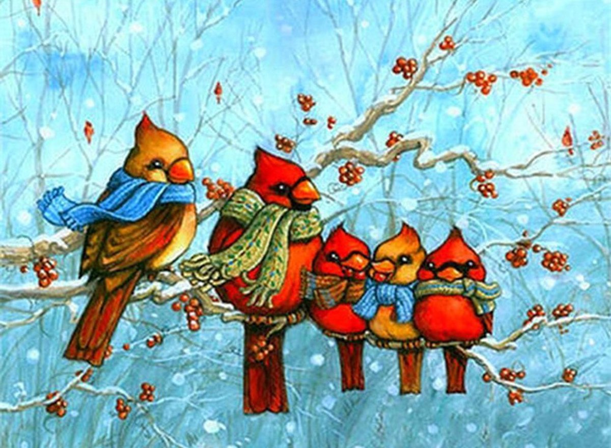 Diamond Painting - Vogels - getekend met sjaal - 30x40 cm - Vierkante ...