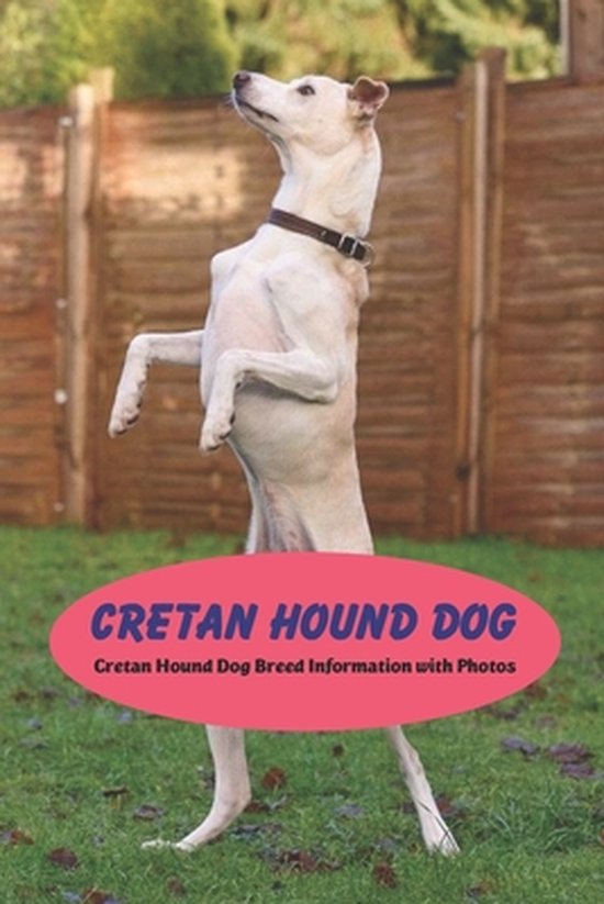 Cretan Hound Dog: Cretan Hound Dog Breed Information with Photos ...