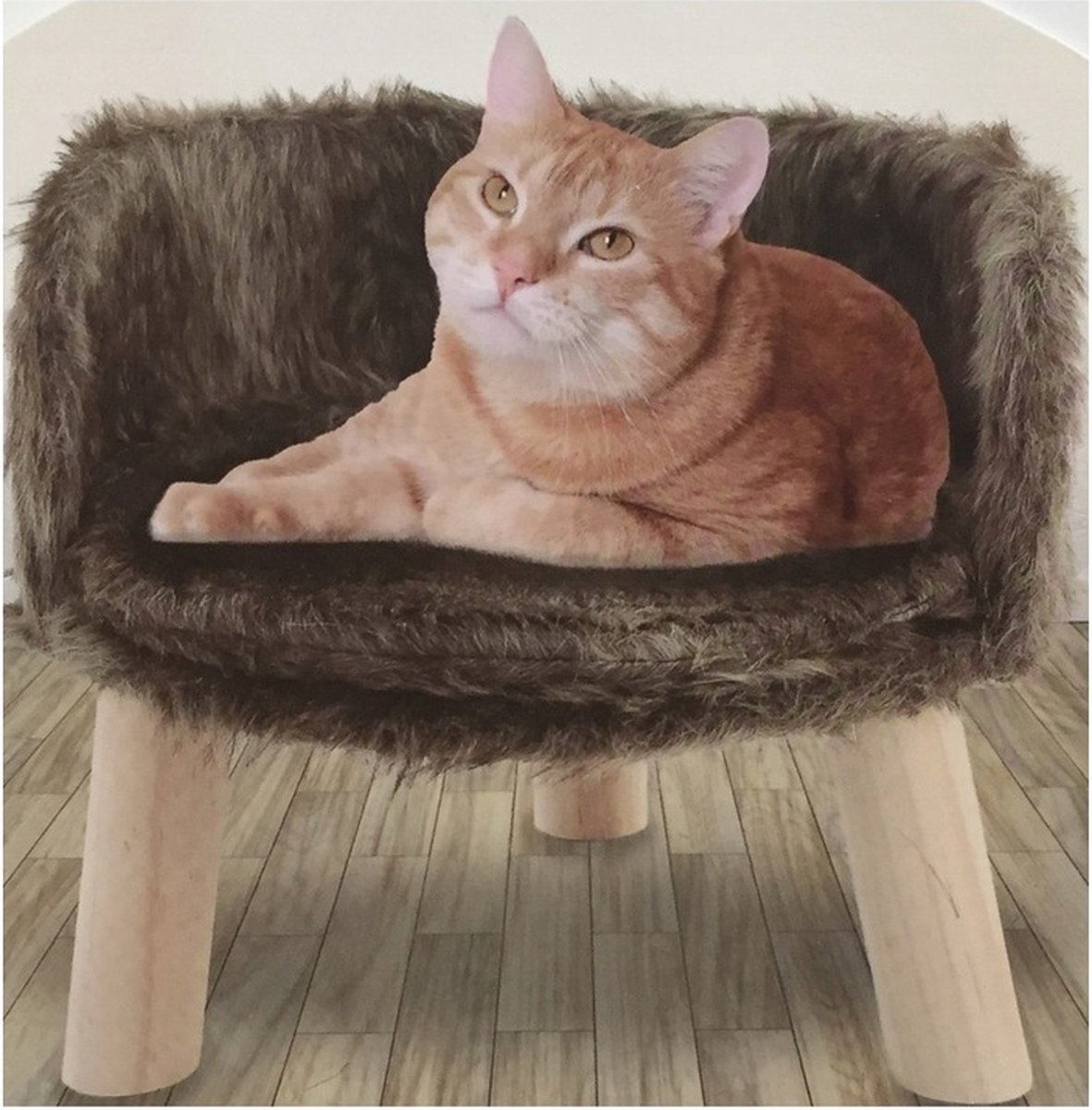 Dieren poef pluche met pootjes - poef met pootjes - Dieren poof - poef ...