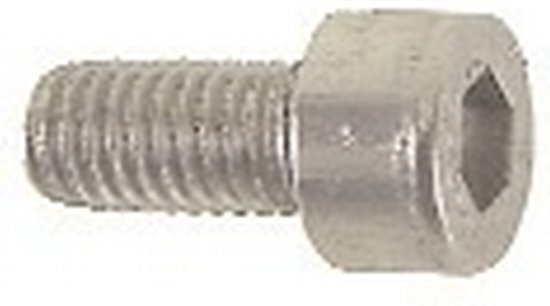 Inbusbout M5 X 20mm RVS 25 Stuks (214130) | bol.com