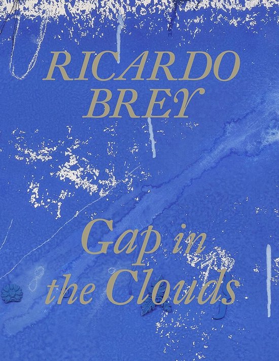 Ricardo Brey. Gap in the Clouds, Koen Leemans | 9789463937375 | Boeken ...