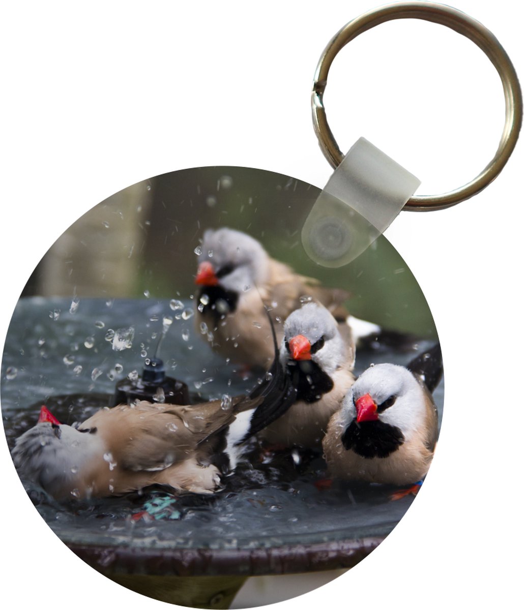 Sleutelhanger - Vogelbad - Water - Vogel - Plastic - Rond ...