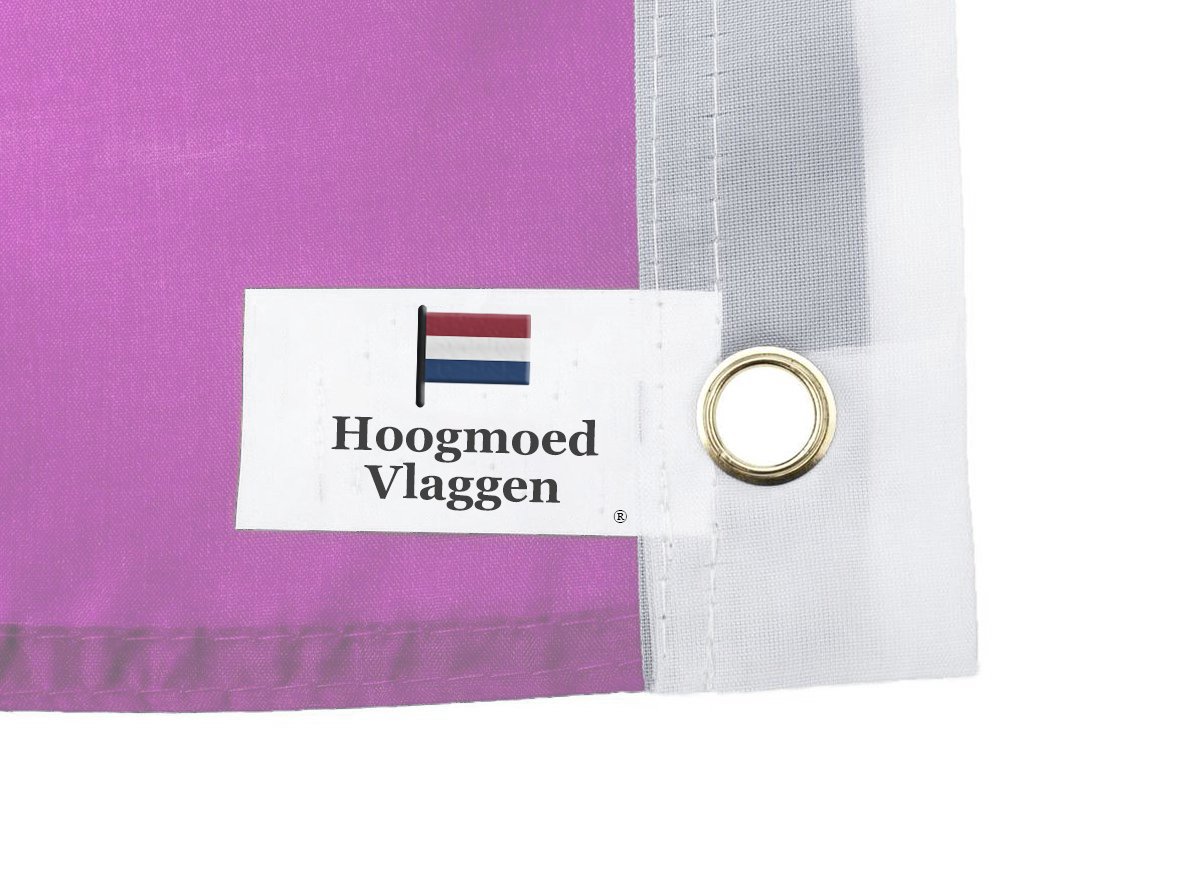 Pride LGBTQ Vlag - Regenboog LGBTQ Pride Vlag - 90x150cm - Pride Flag - Originele... | bol.com