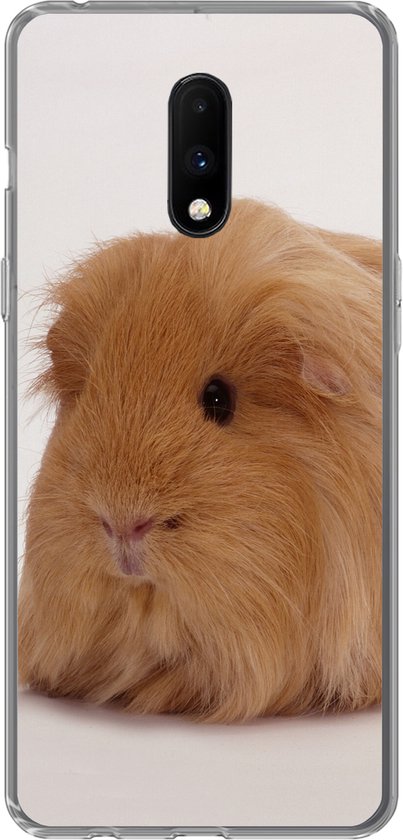 OnePlus 7 hoesje - Sheltie cavia - Siliconen Telefoonhoesje | bol