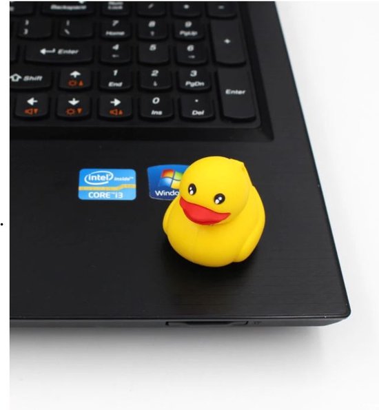 USB stick model "bad eend". 64 GB. | bol.com