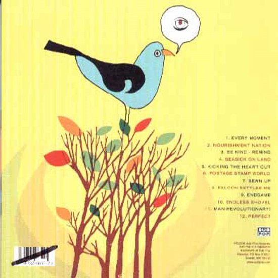 Rogue Wave - Out Of The Shadow (CD), Rogue Wave | CD (album) | Muziek | bol