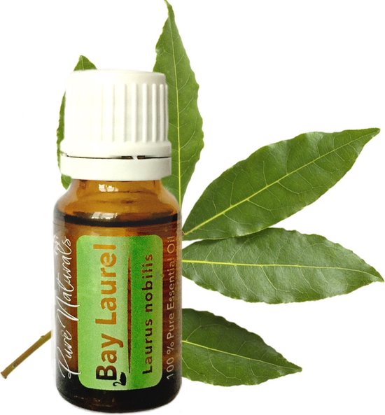 Laurier etherische Olie 10 ml | Bay Laurel Oil | 100% PUUR | Bio ...