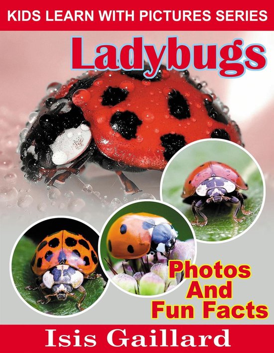 Kids Learn With Pictures 131 - LadyBugs Photos and Fun Facts for Kids ...