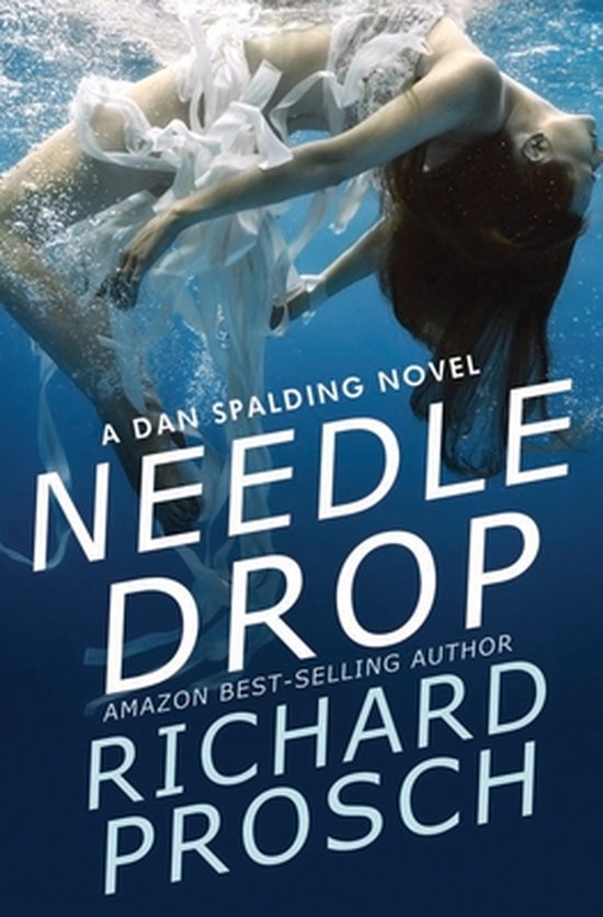 Dan Spalding Mysteries- Needle Drop, Richard Prosch | 9798402887282 | Boeken | bol.com