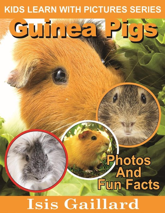 Kids Learn With Pictures 49 - Guinea Pigs Photos and Fun Facts for Kids ...