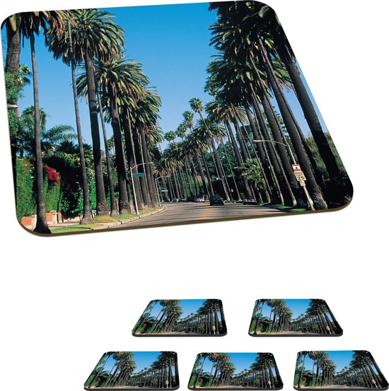 Onderzetters voor glazen - De rijen met lage palmbomen langs de straat ...