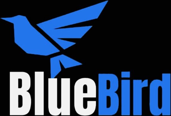 BlueBird Moderne LED Vloerlamp - RGB -Wit Licht - Met Afstandsbediening ...