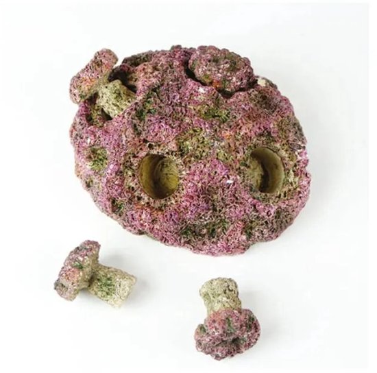 TMC - Natureform Coral Frag Plug Rock | bol