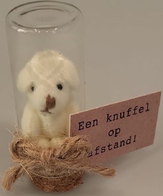 Een knuffel op afstand! Dit schattige beertje maakt deze boodschap nog specialer. Het... | bol