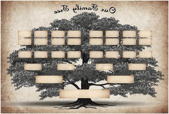 5 Generatie stamboom grafiek vintage Wall Art Canvas Poster Print ...