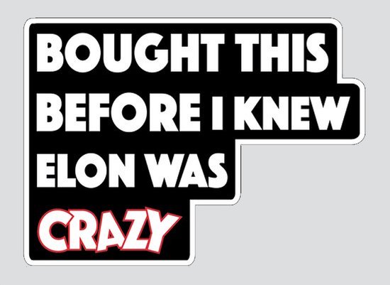 Elon Musk sticker - 11x8cm - bumper sticker- Tesla auto sticker | bol