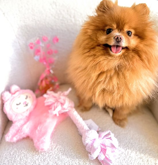 Honden knuffel en traktatie pakket roze - hond - huisdier ...