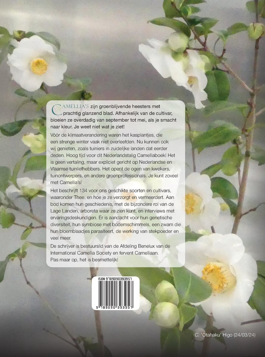 Camellia's voor de Lage Landen - Groenblijvende heesters voor ...