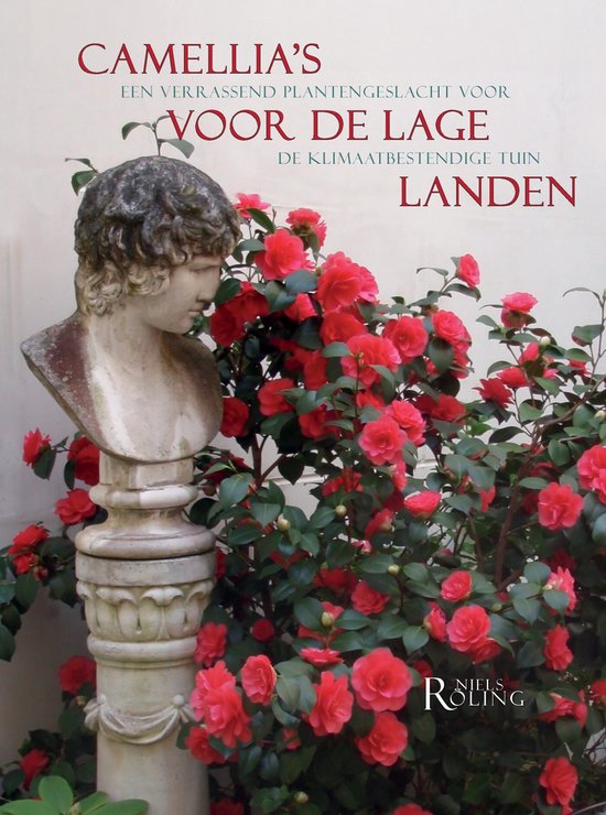 Camellia's voor de Lage Landen - Groenblijvende heesters voor ...