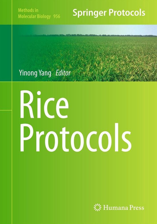 Rice Protocols | 9781627031936 | Yinong Yang | Boeken | bol