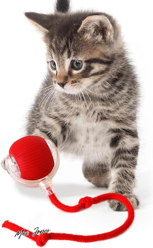 Mrs. Jones Interactive Cat Toy Ball - Voor Binnen Katten - Volwassenen Kattenspeelgoed... | bol