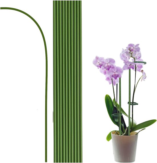 Candala Plantenstok, metaal, plantensteun, 20 stuks, plantenhouders ...