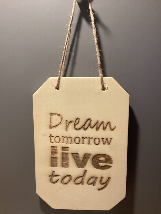 Tekst bord afmetingen 15.6 x 23.1 x 1.5. Tekst : Dream tomorrow live ...