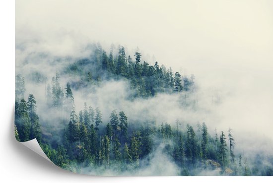 Fotobehang Bos In Mist | bol
