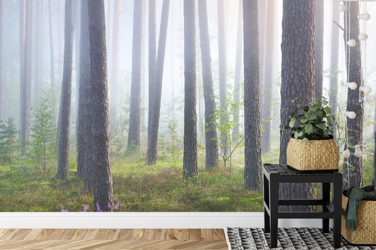 Fotobehang Bos In Mist | bol