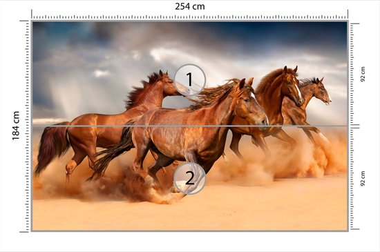 Fotobehang Paarden Rennen In De Woestijn | bol