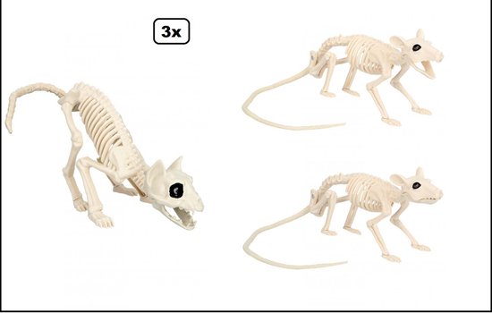 1x Skelet kat 51cm en 2x Skelet rat 46 cm - Halloween horror thema ...