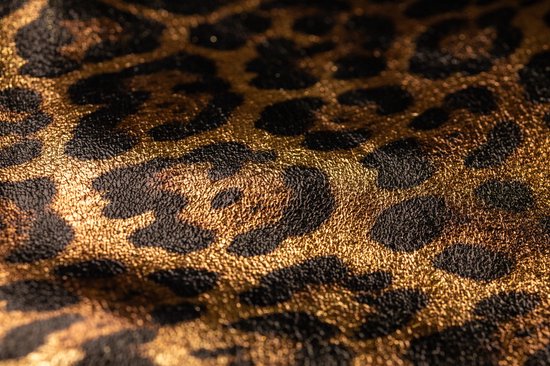 LEATHER TOTE BAG LEOPARD METALLIC | bol.com