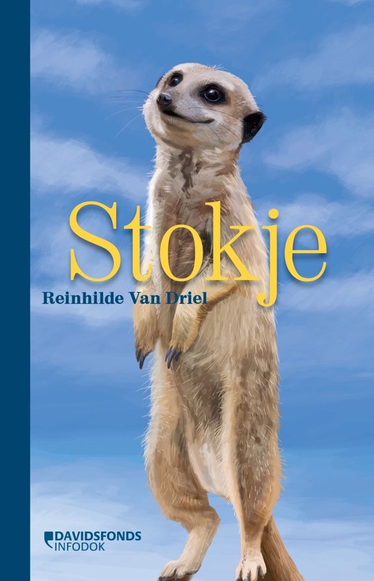 Stokje, Reinhilde Van Driel | 9789002277993 | Boeken | bol.com