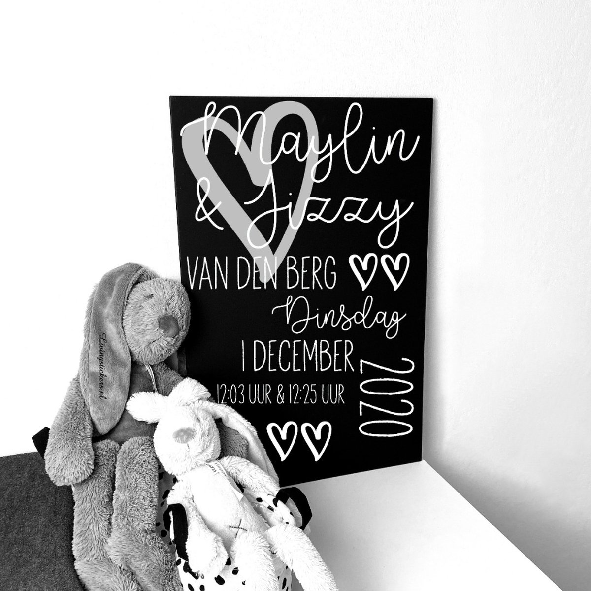 Geboorte bord meisjes tweeling-Kraam cadeau tweeling-Decoratie bord ...