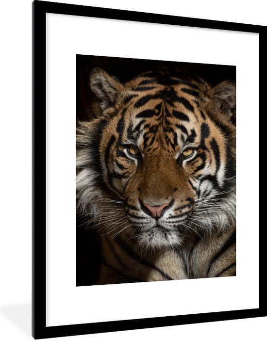 Fotolijst incl. Poster - Tijger - Wilde dieren - Portret - 60x80 cm - Posterlijst | bol