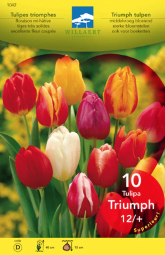 Tulipa triumph gemengd - mix | bol.com
