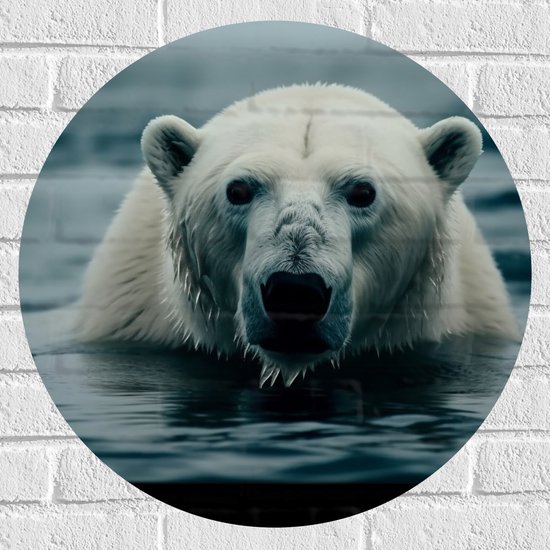 Muursticker Cirkel - Witte IJsbeer Zwemmend in het Water - 60x60 cm ...