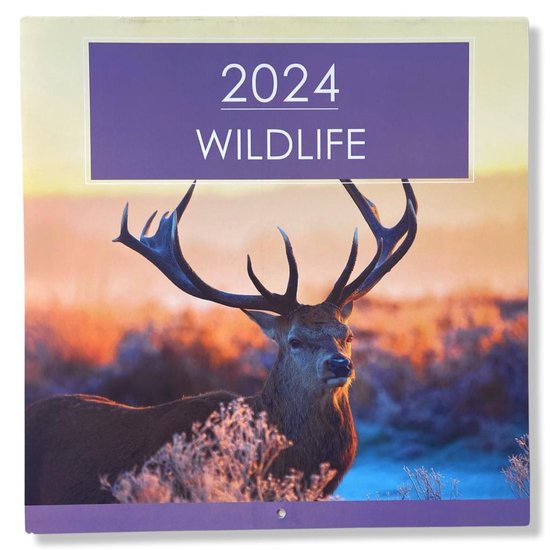 Calendrier mensuel des animaux de la forêt 2024 - 28x28,5 cm ...