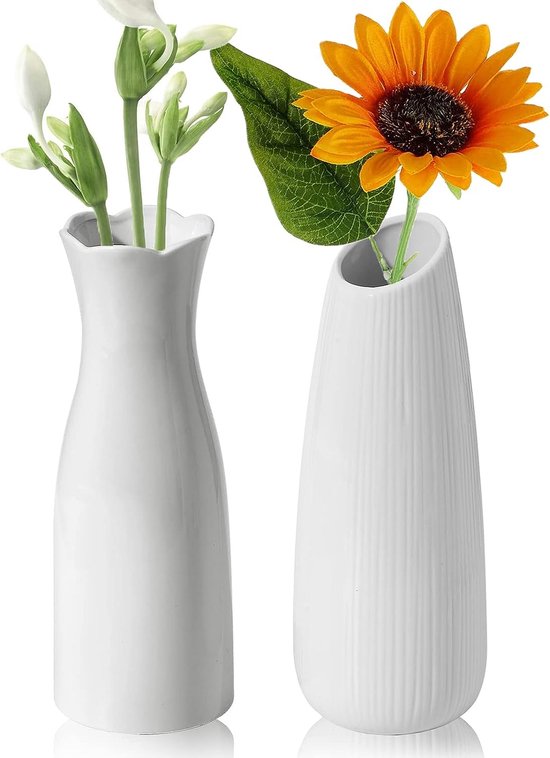 Vazen porselein, vaas voor pampagras, 21 cm hoogte ceramic vazen, witte ...