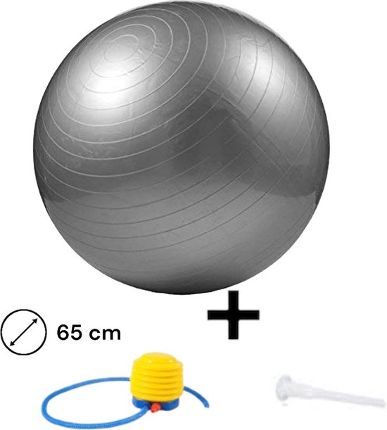 Padisport - Yoga bal - 65 cm - zwangerschapsbal - yoga bal inclusief ...