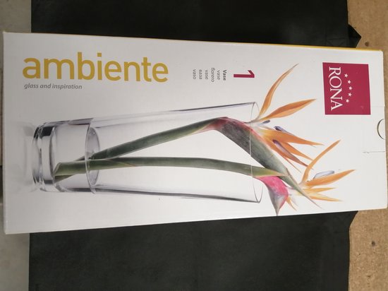 Rona Ambiente conische vaas 30 cm | bol