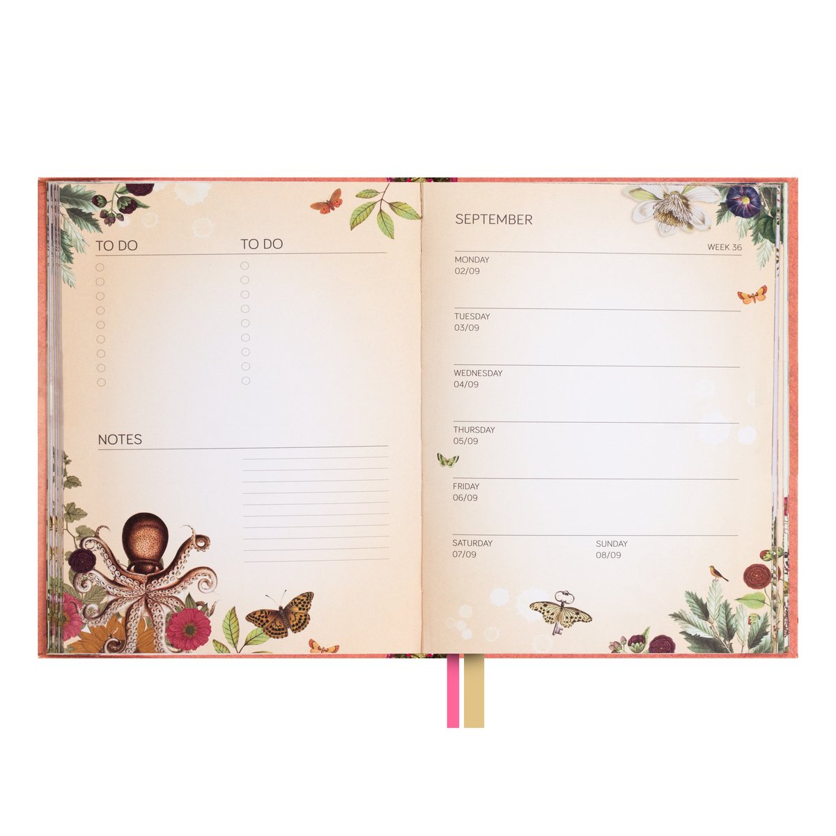Pimpelmees diary A5 2024 - Deer Peach | bol.com