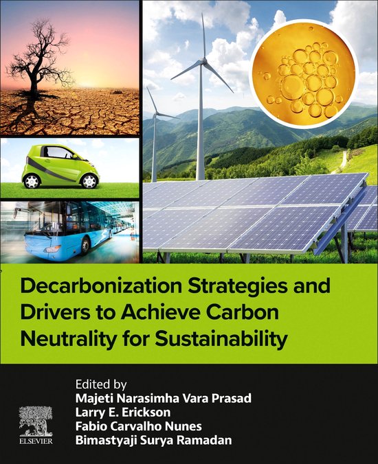 Decarbonization Strategies and Drivers to Achieve Carbon Neutrality for Sustainability... | bol