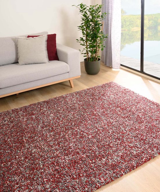 Hoogpolig vloerkleed gemêleerd - Blend rood/grijs 140x200 cm | bol.com