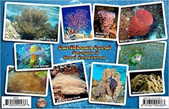 Franko Maps Coral Card Caribbean Coral ID Card / Coral Reef - 2017 ...