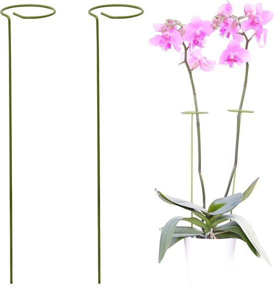 Plantensteun voor Bloemen - Groeiende Planten - 2 Stuks | bol